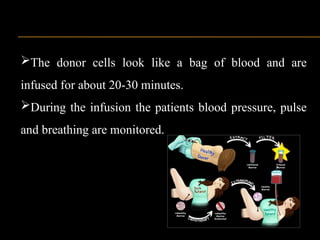 STEM CELL / BONE MARROW TYPES PROCESS TRANSPLANTATION AND TREATMENT | PPTX