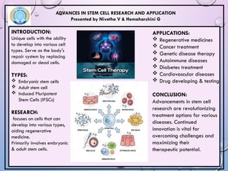 stem cell.pptx fsa bhkkoocwawwer stem cell ppt xzksiwoowowo | PPT