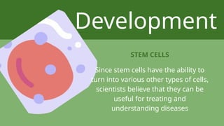 Stem Cell.pptxjbhhjbihbuibuihiohoijoioio | PPT