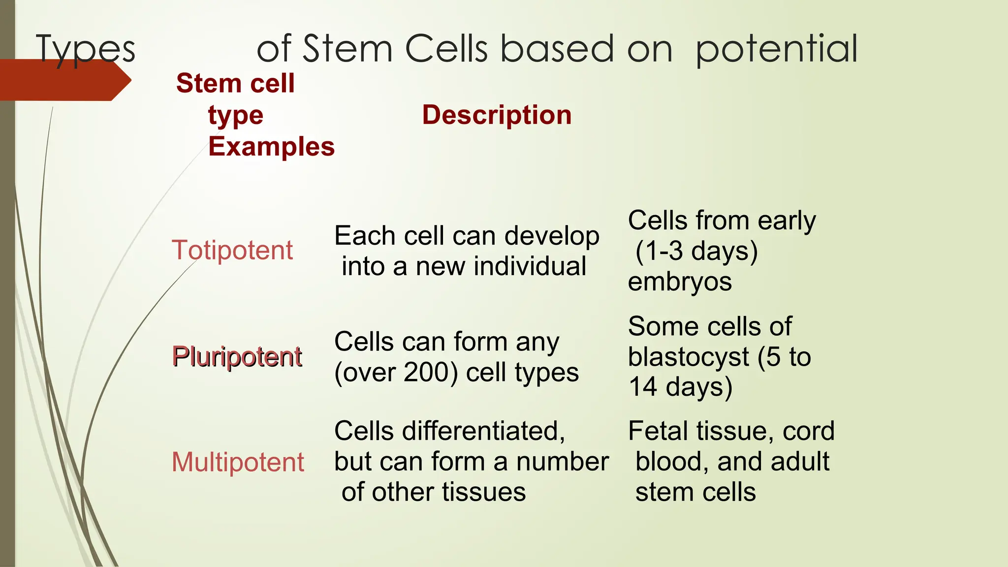 The Stem Cell in Orthopaedic surgery.pptx