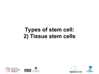 introducing of stem cell classification and biology 1.ppt