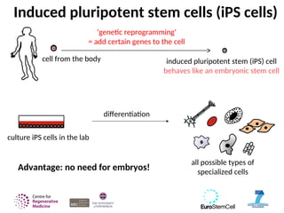 introducing of stem cell classification and biology 1.ppt