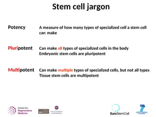 introducing of stem cell classification and biology 1.ppt