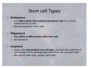 Stem cell | PPTX