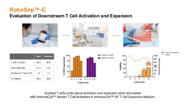 Quick and Easy Isolation of T Cells and Other Immune Cells from Large ...