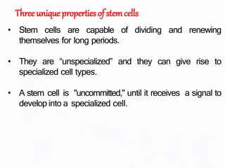 stem cell 7.pptx fgs drmtyyyyyygdssaaaaav | PPTX