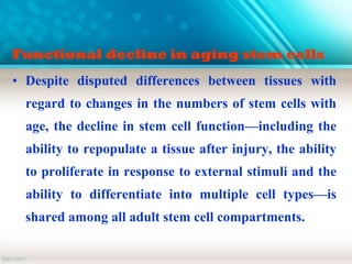 Stem cell aging research today for a healthier tomorrow | PPT