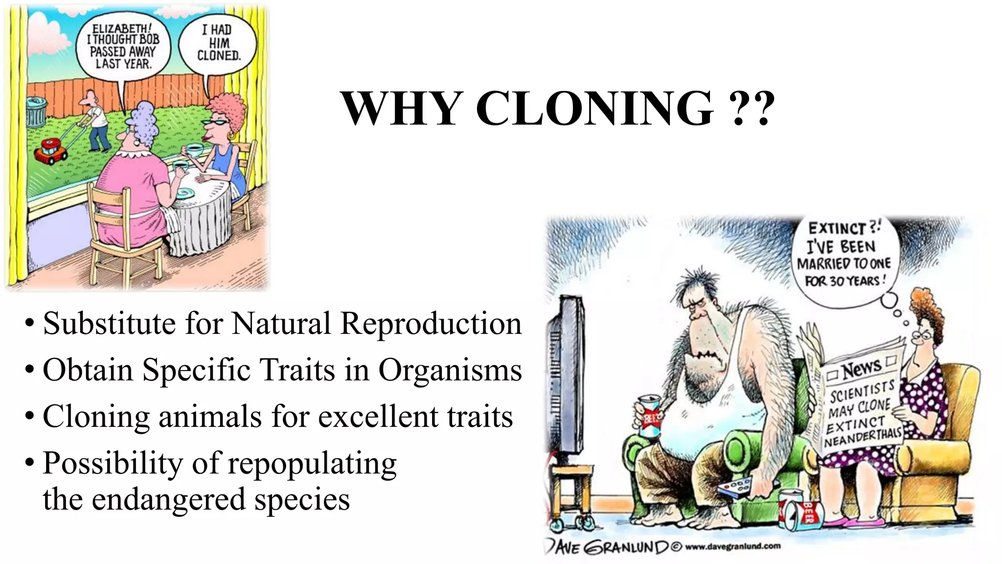 Stem cell and Cloning | PPTX