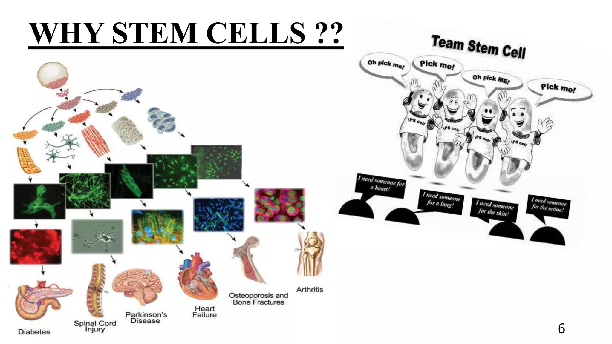 Stem cell and Cloning | PPTX