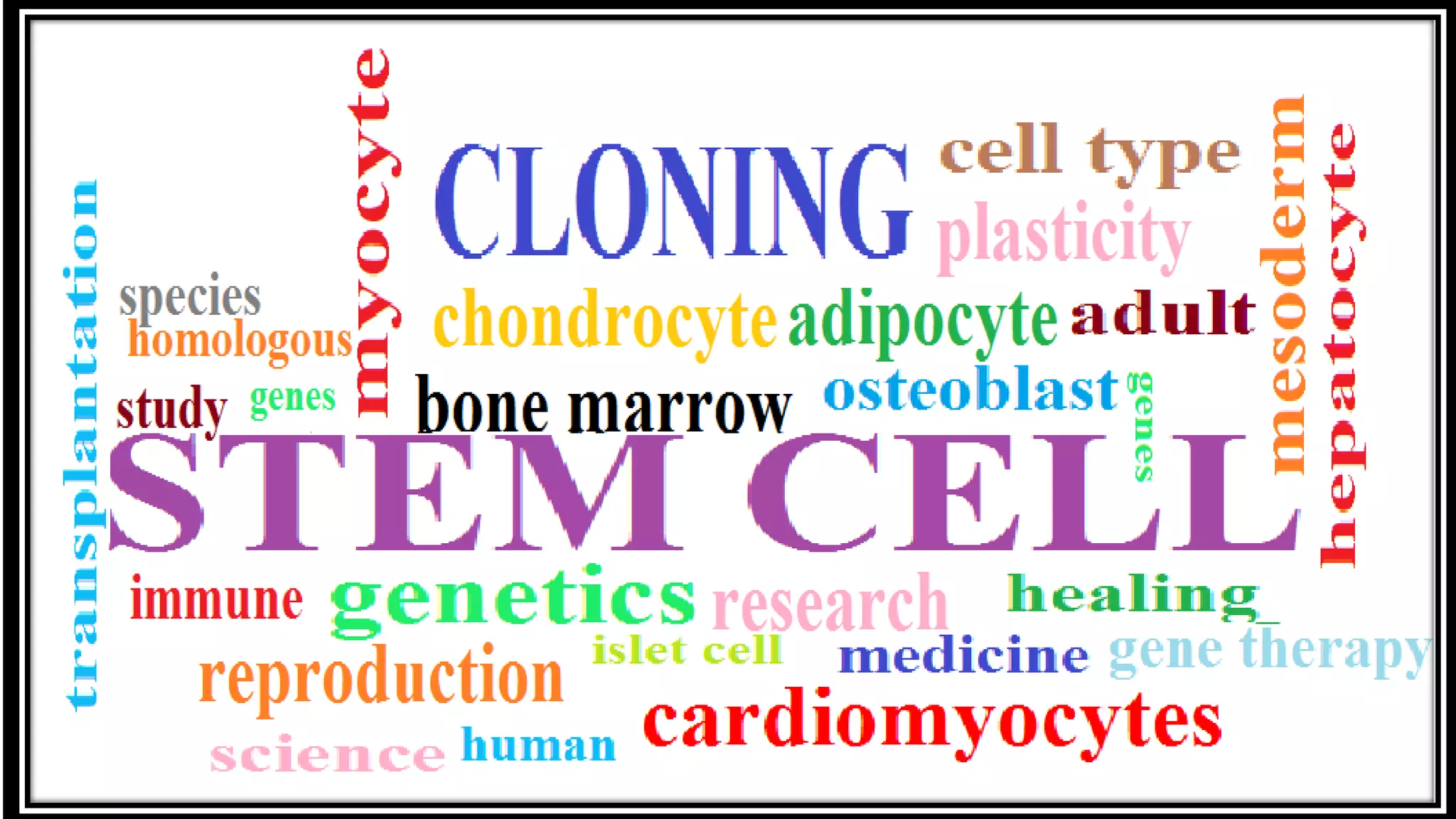 Stem cell and Cloning | PPTX