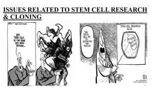 Stem cell and Cloning | PPTX