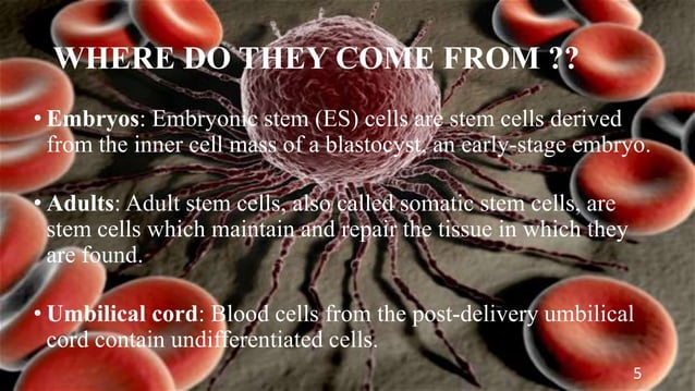 Stem cell and Cloning | PPTX