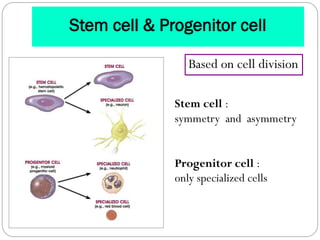 Stem cell and gene therapy | PDF