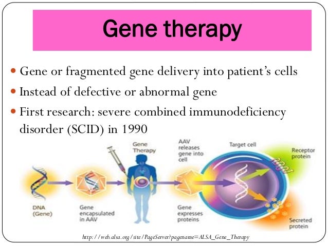 Stem Cell And Gene Therapy Stem Cell And Gene Therapy