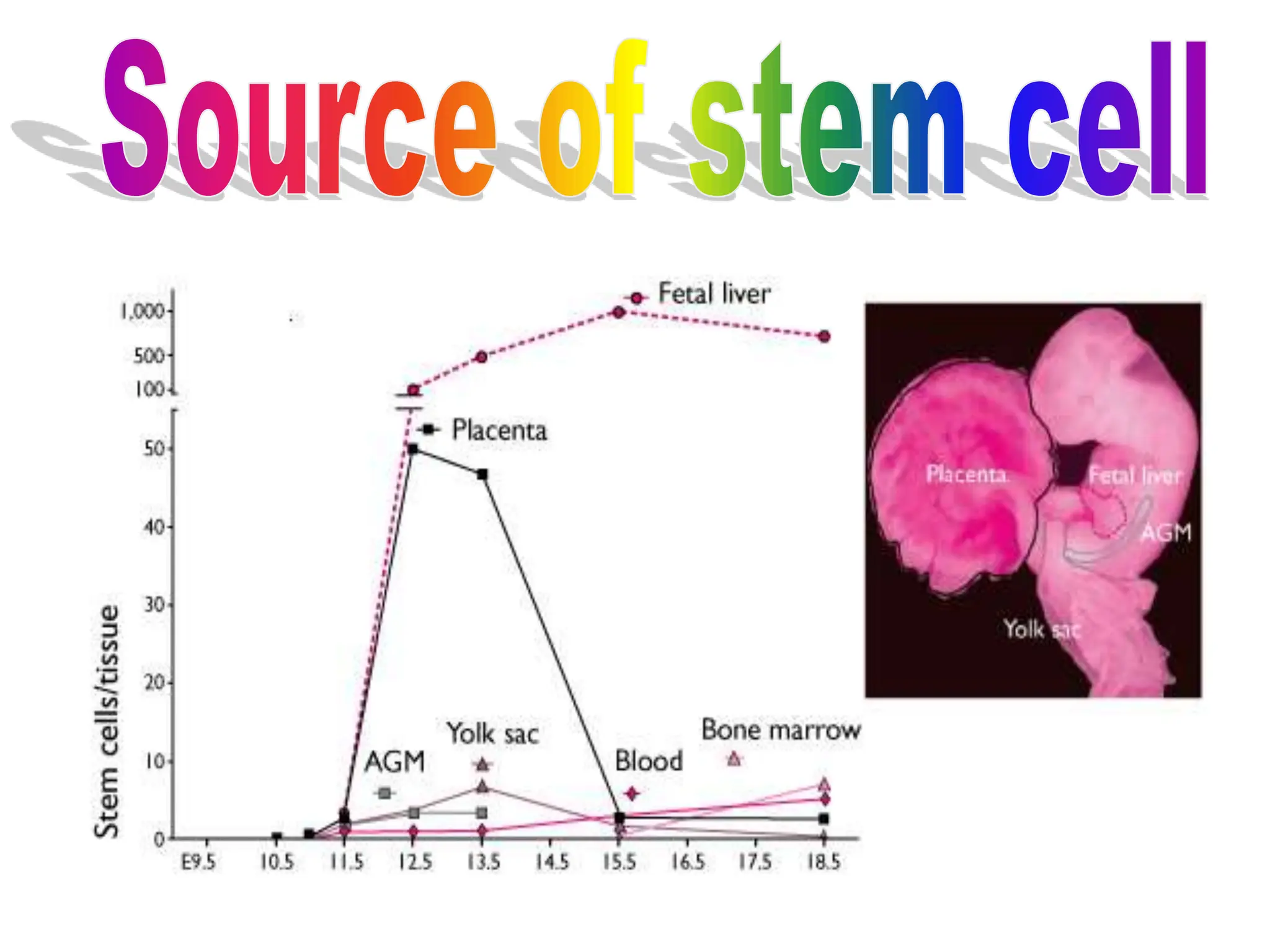 Stem Cell and its applications in medical sciences.ppt