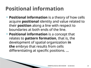 HISTOPATHOLOGY: STEM CELL AND ORGANIZERS | PPTX
