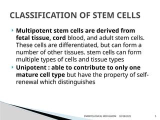 HISTOPATHOLOGY: STEM CELL AND ORGANIZERS | PPTX
