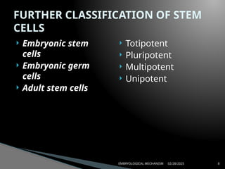 HISTOPATHOLOGY: STEM CELL AND ORGANIZERS | PPTX