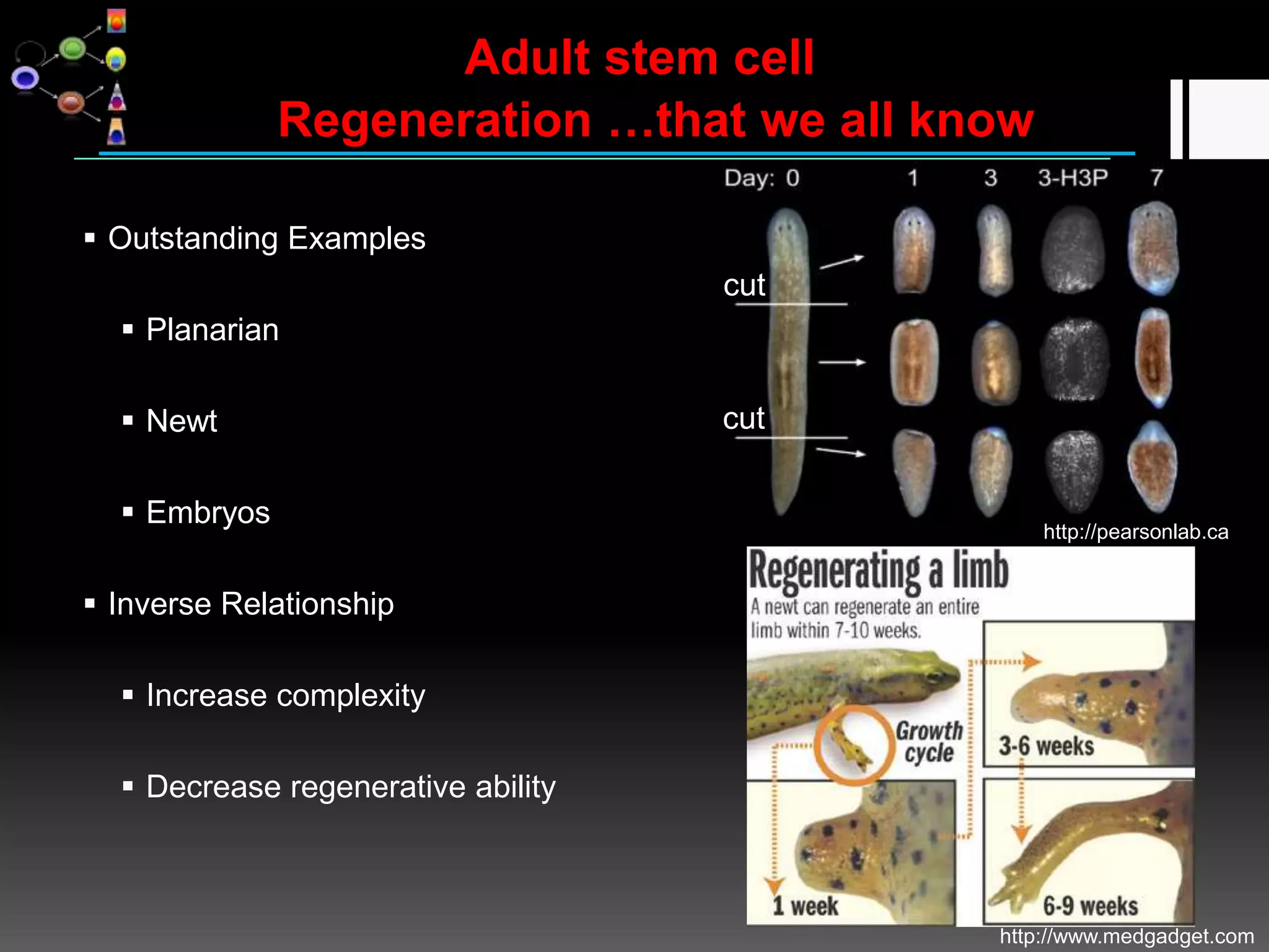 Stem cell and regenerative medicine | PPTX