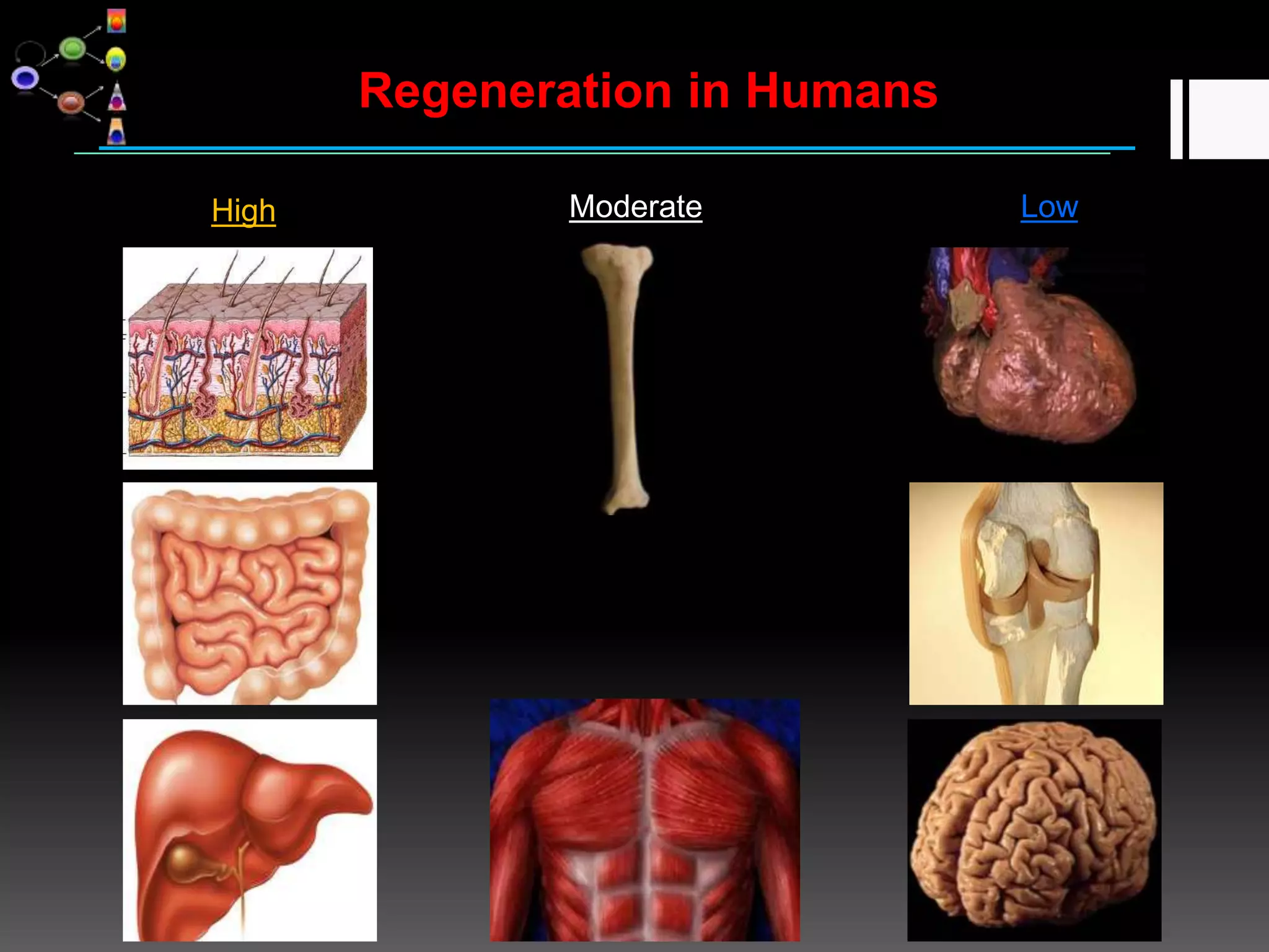 Stem cell and regenerative medicine | PPTX