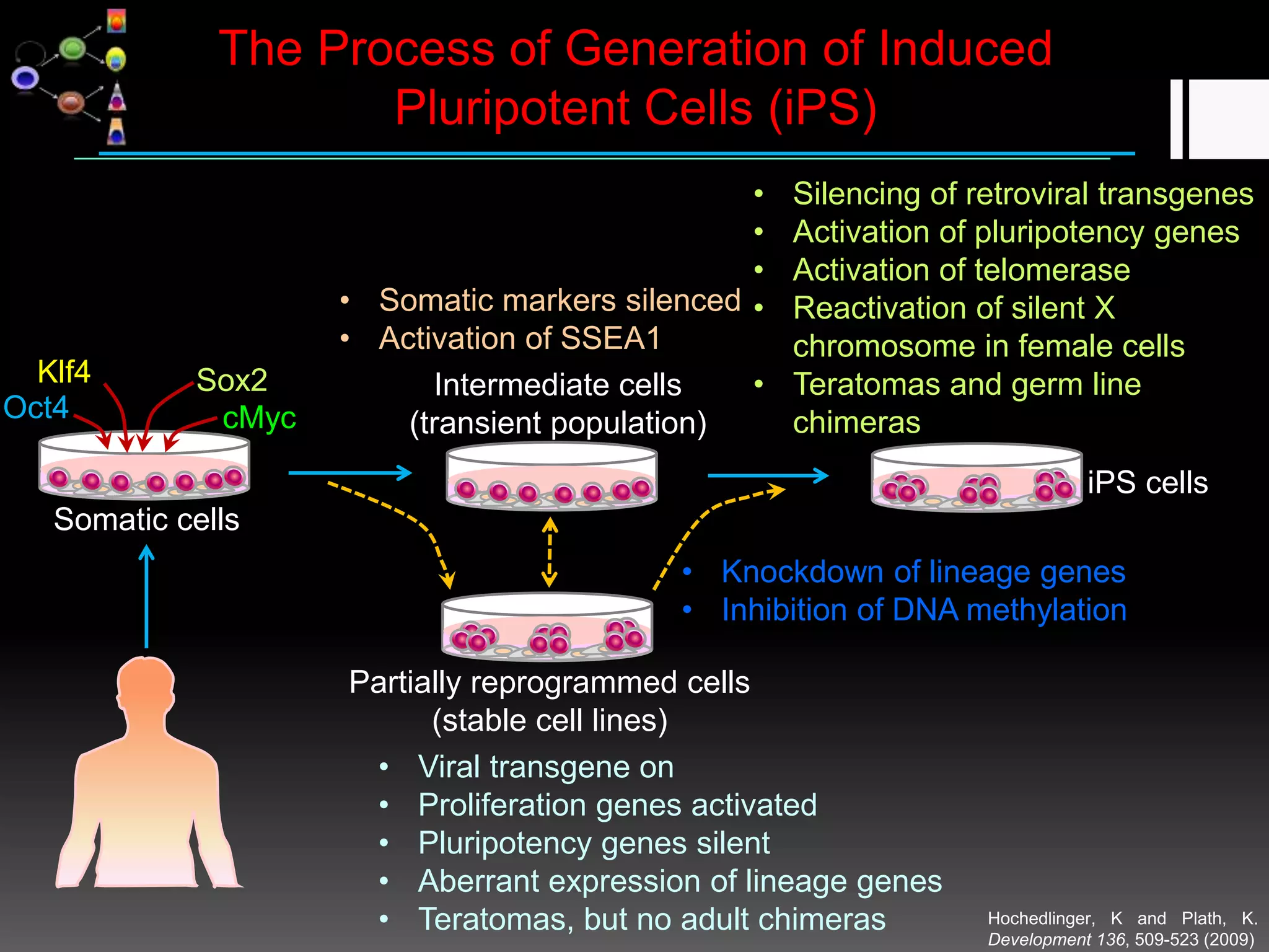 Stem cell and regenerative medicine | PPTX