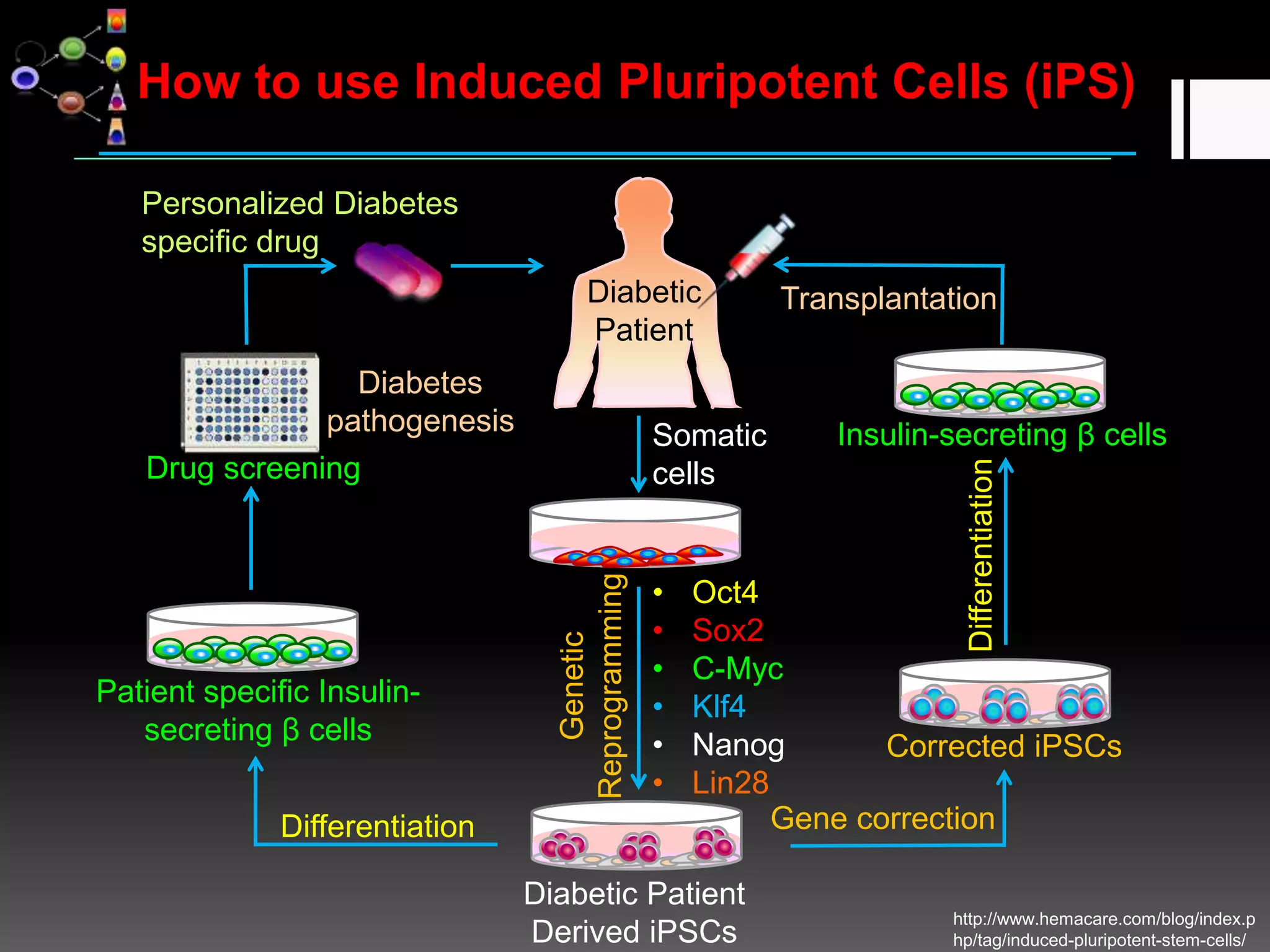 Stem cell and regenerative medicine | PPTX