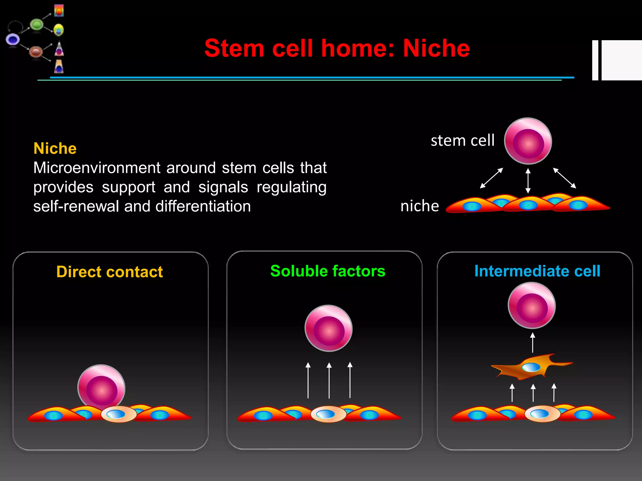 Stem cell and regenerative medicine | PPTX | Infertility | Reproductive ...