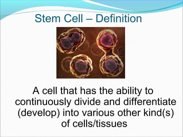 Stem Cells and their Therapeutic applications | PPT