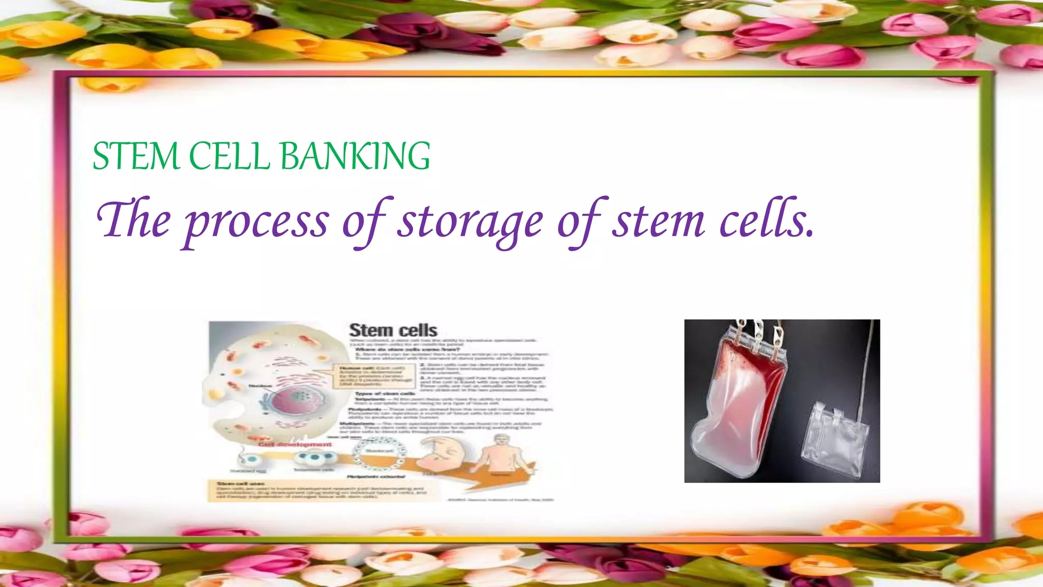 Stem cell banking | PPTX