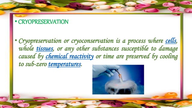 Stem cell banking | PPTX | Pregnancy | Reproductive Health