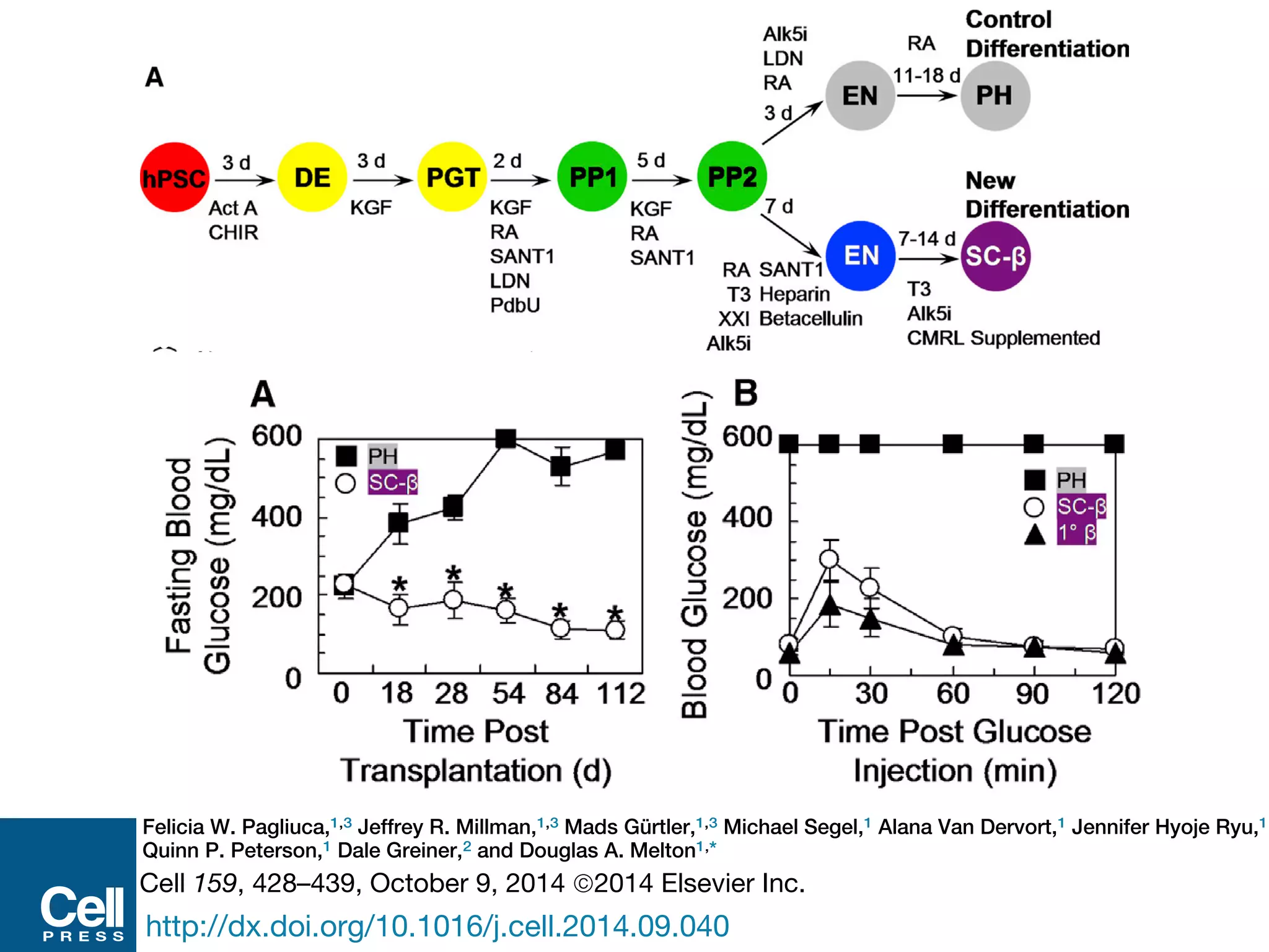 Stem cell based therapies for diabetes | PDF