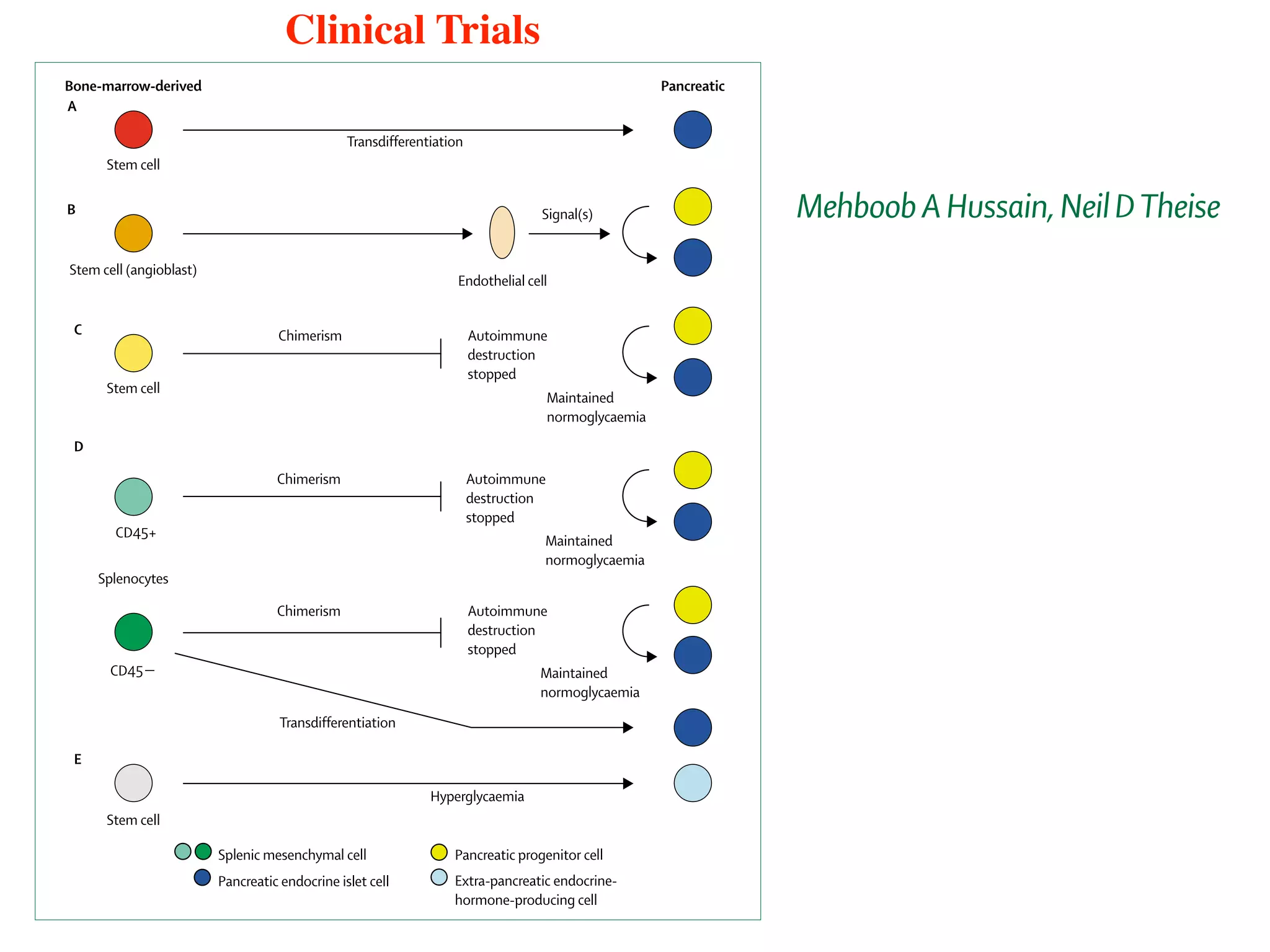 Stem cell based therapies for diabetes | PDF