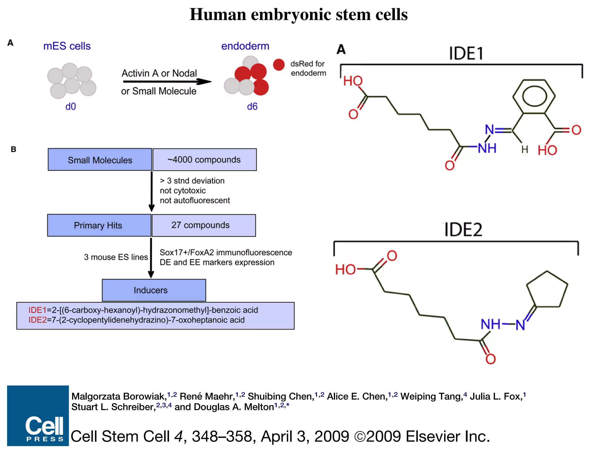 Stem cell based therapies for diabetes | PDF