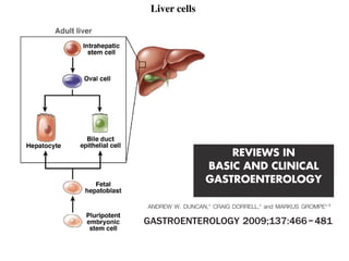 Stem Cell Therapy For Diabetes