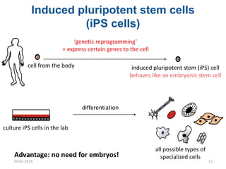 Stem cell biology | PPTX
