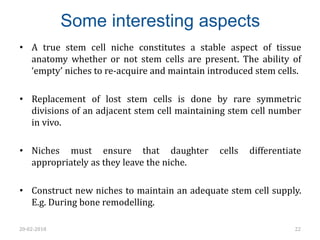 Stem cell biology | PPTX