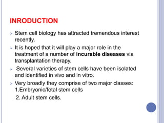INTRODUCTION TO STEM CELL BIOLOGY DEFINITION CLASSIFICATION AND SOURCES ...