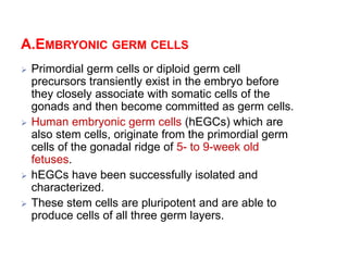 INTRODUCTION TO STEM CELL BIOLOGY DEFINITION CLASSIFICATION AND SOURCES ...
