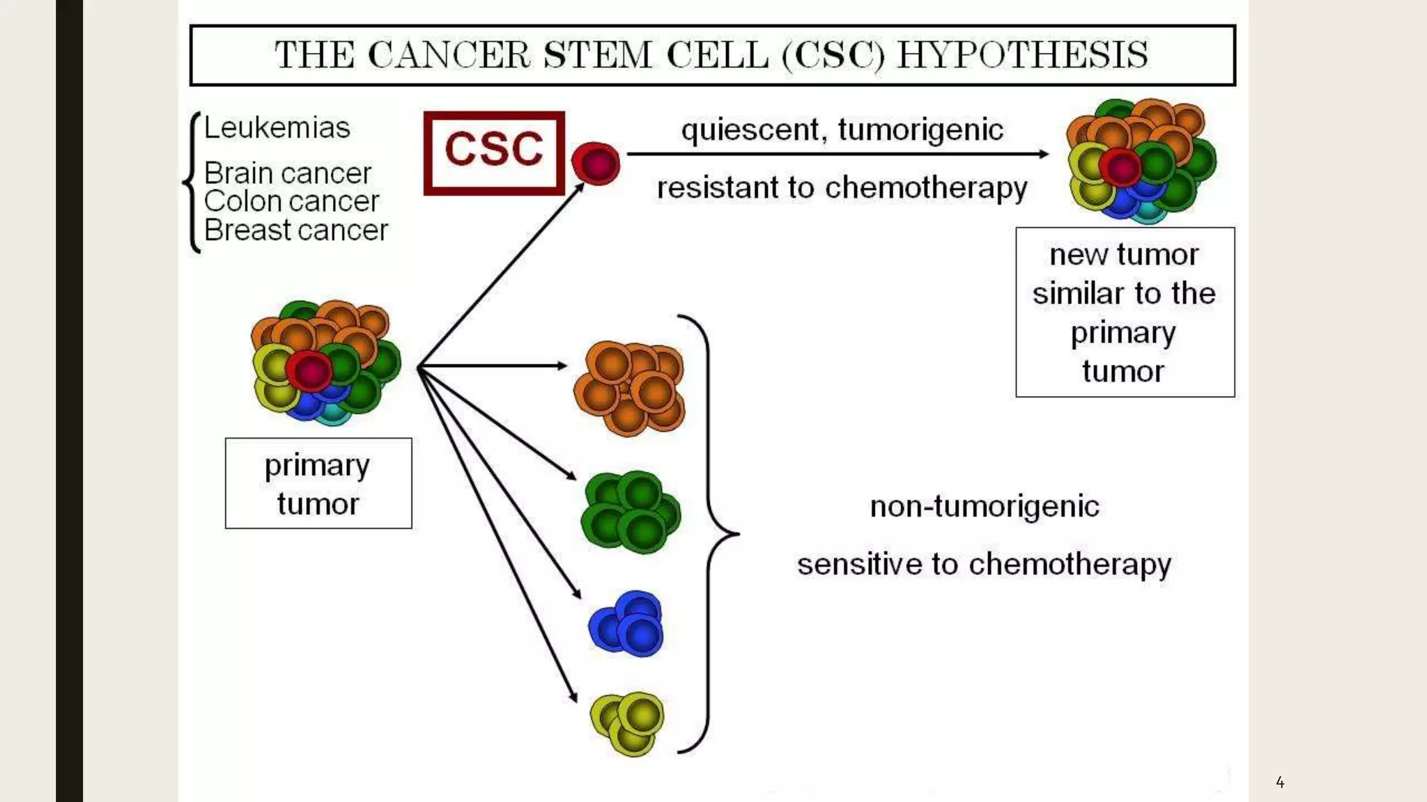 Control of Cancer Stem Cell Migration and invasion | PPTX