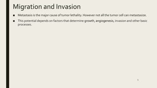 Control of Cancer Stem Cell Migration and invasion | PPTX