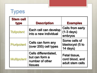 Stem cell concept | PPSX