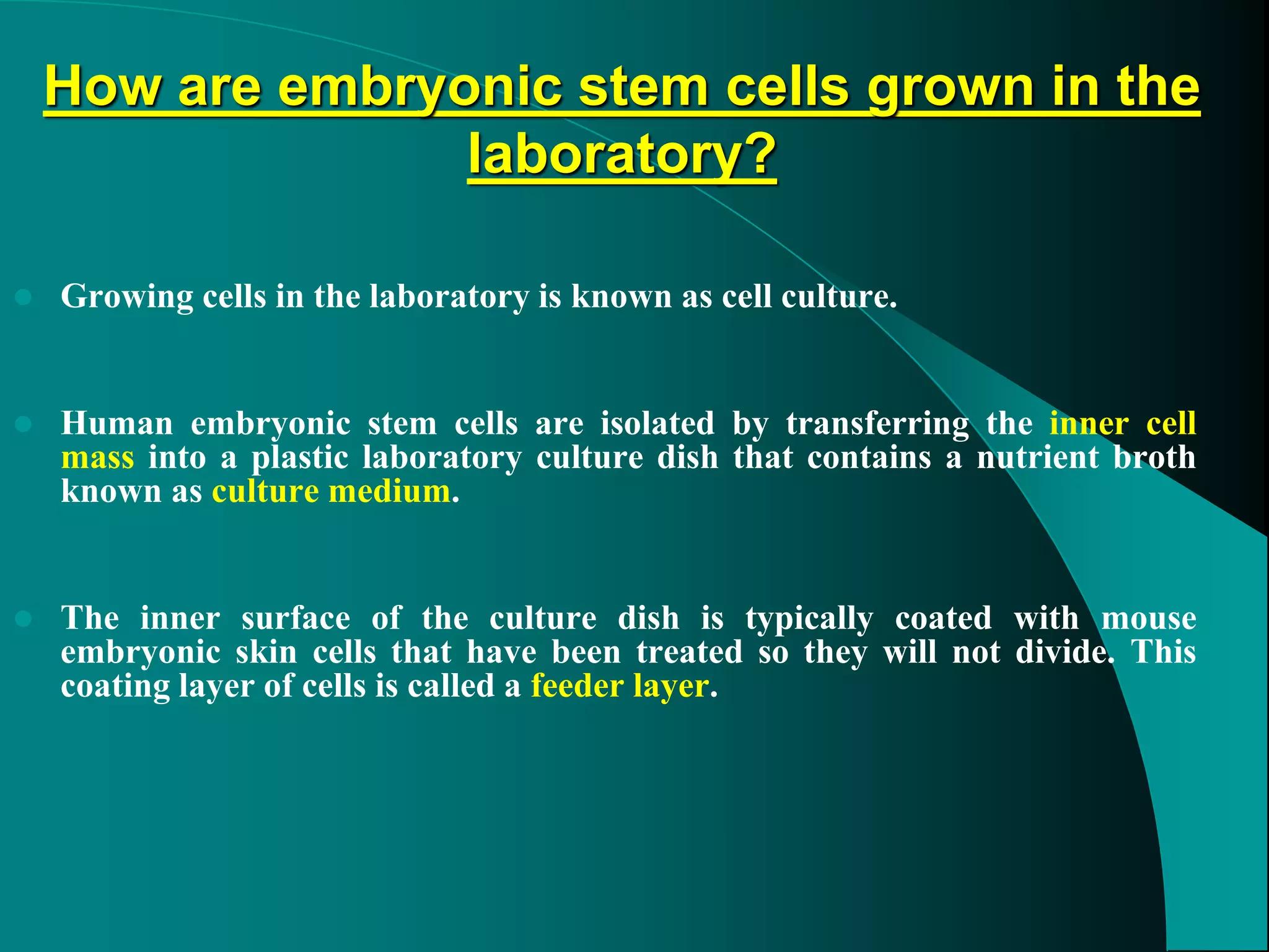 Stem cell culture | PPT