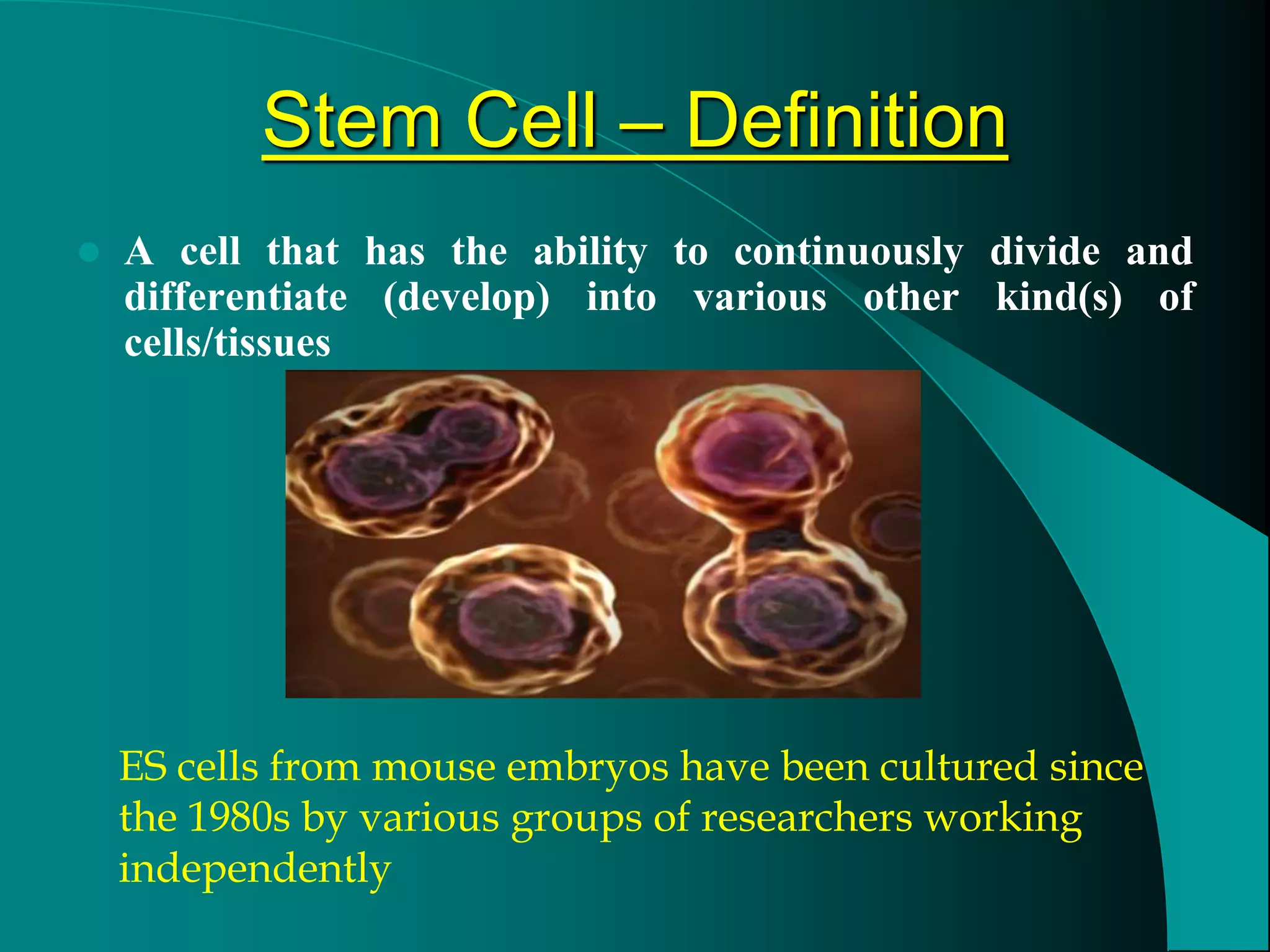Stem cell culture | PPT
