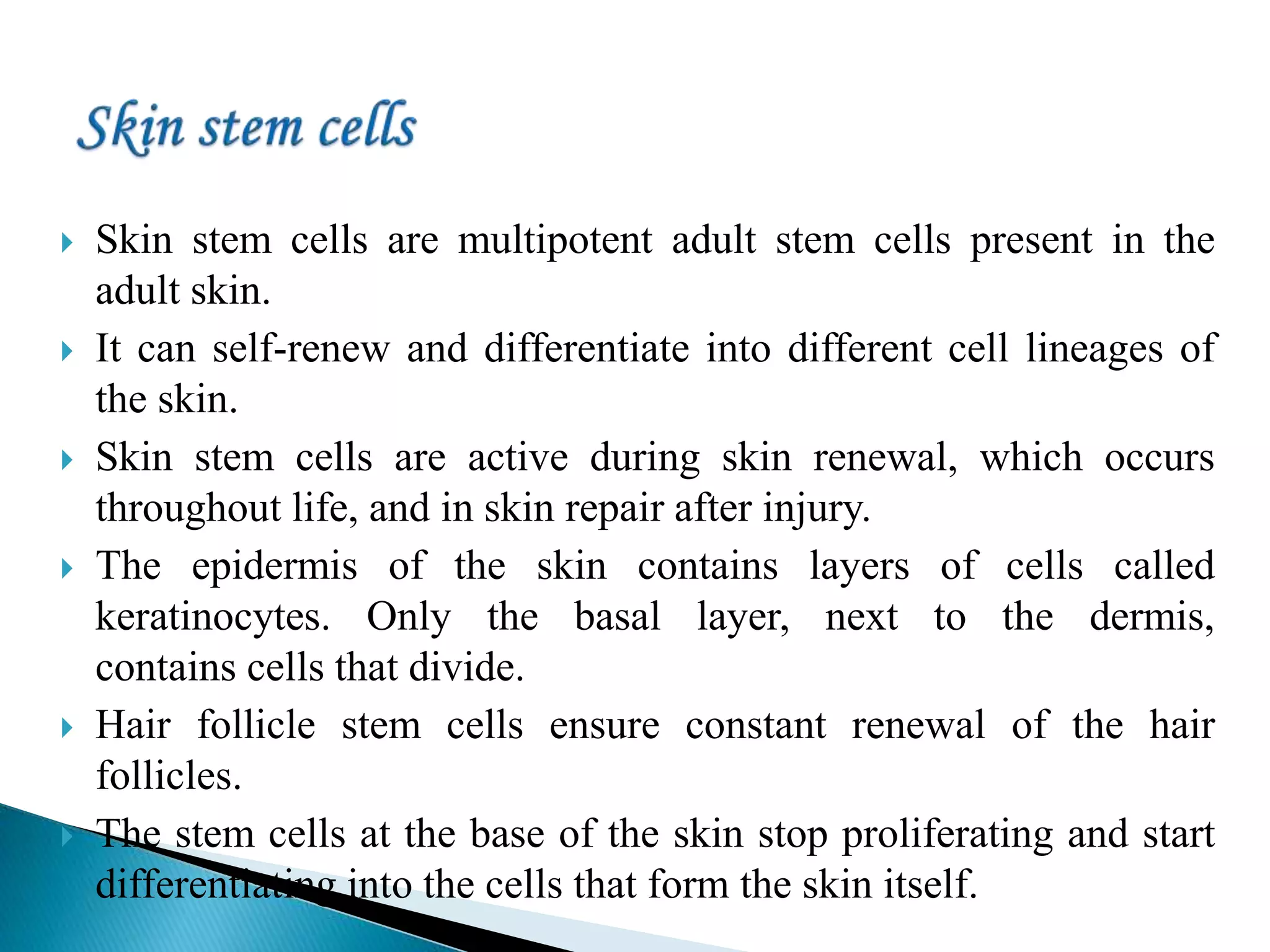 Stem cell culture | PPTX