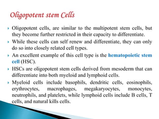 Stem cell culture | PPTX