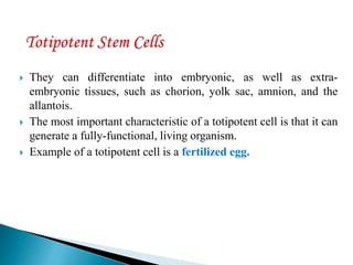 Stem cell culture | PPTX