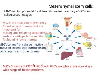 Stem cell culture-3.pptx. . | PPTX