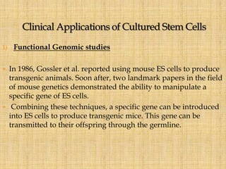 Stem cell culture, its application | PPTX