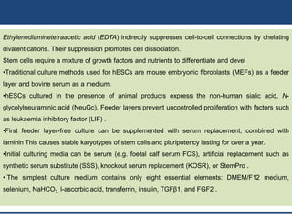 13.Stem cell culture | PPT