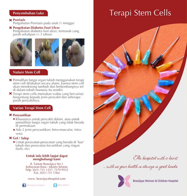 Stem cell dermama @bwch | PDF
